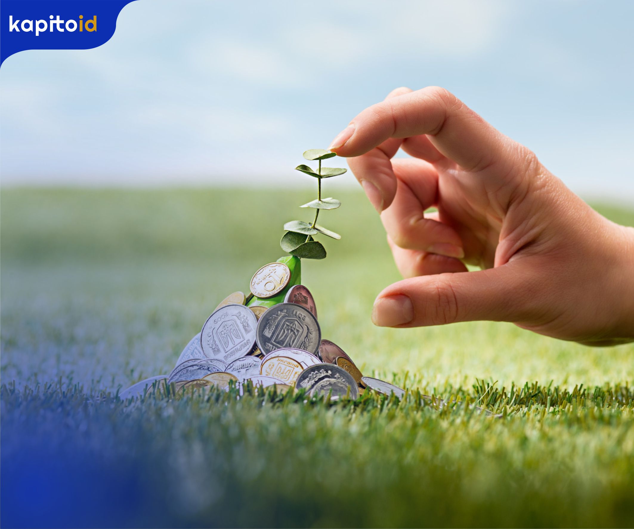 Orang Desa Sudah Tau Investasi Sejak Lama - Kapito.Id